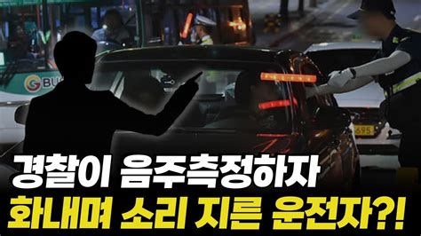 음주운전 단속 음주 측정 요구하자 경찰에게 욕하며 난동 부린 음주운전자의 최후 Youtube