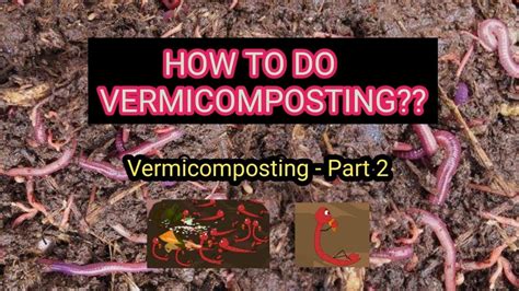 How To Make Vermicompost At Home எளிதாக மண்புழு உரம் செய்வது எப்படி Youtube