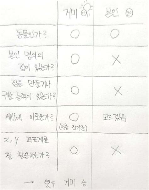 거미보다 못한 삶