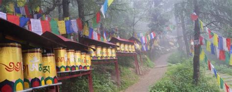Creative Things To Do In Mcleodganj