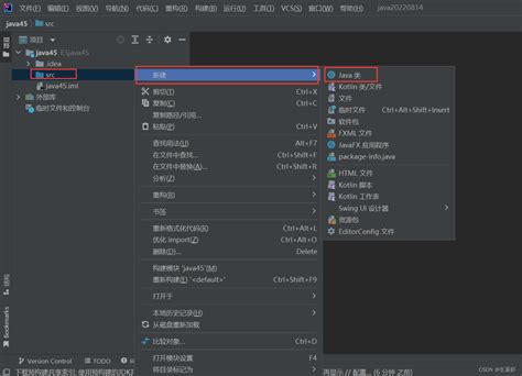 如何使用 Idea2021 创建一个java程序（汉化版）idea2021支持jdk18吗 Csdn博客