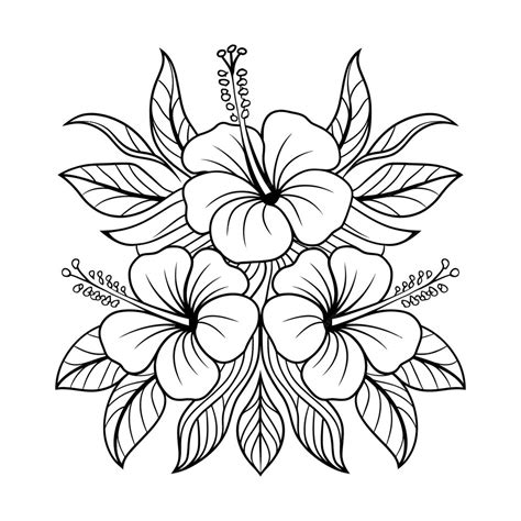 Premium Vector Hibiscus Vector Design