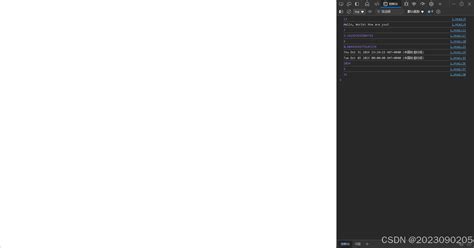 Javascript基础探索：函数、对象及常用类 Csdn博客