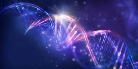 8 common types of primary immunodeficiency