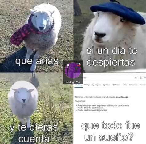 Bro Meme By Rodrigo755 Memedroid