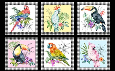 Tropical Treasures