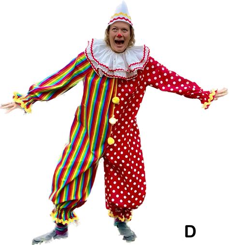 Cute Clown Costume