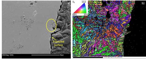 Cross Section Of The Fracture Surface Of The 10 3 Mms Specimen