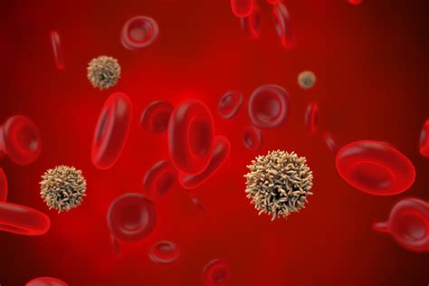Un Nuevo Tratamiento Mostró Resultados Alentadores Contra El Cáncer De Médula ósea Malvinas Rock