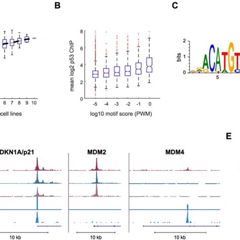 genomic sequence is weakly predictive of p53 binding a the
