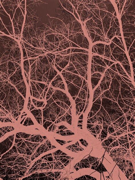 78000 Tree Root Pattern Pictures