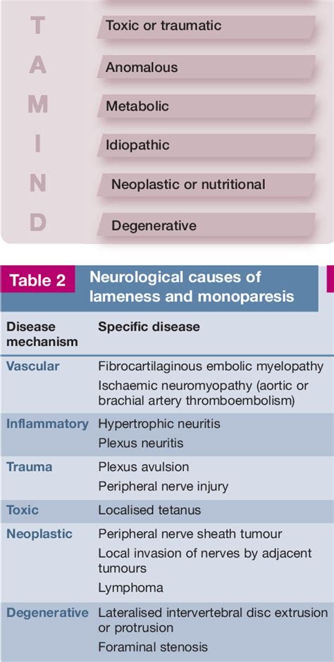 Table 2 From Neurological Lameness In The Cat Semantic Scholar