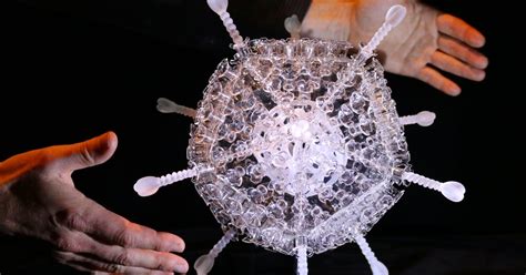 Glass Microbiology Magnifies Viruses Bacteria And Other Organisms
