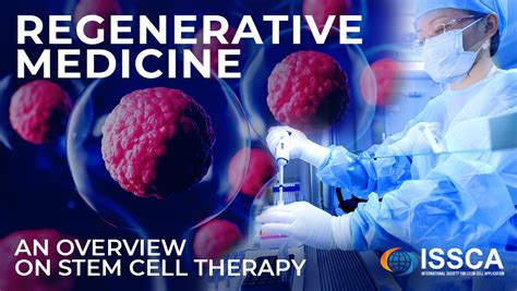 Regenerative Medicine Cell Therapy Aa Aesthetic