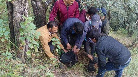 Chamoliलापता महिला जंगल में मिली भालू ने हमला कर किया बुरी तरह घायल