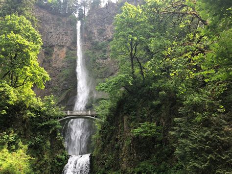 Multnomah Falls Bridge