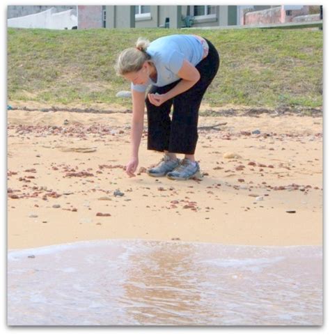 Sea Glass Hunting Brings Solace A Day At The Beach