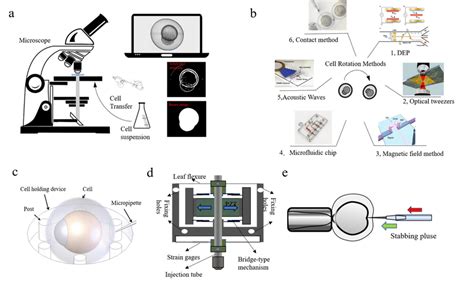 Main Parts Of A Microinjection System A Cell Detection B Cell