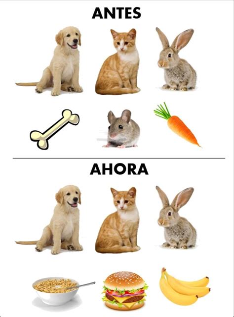 Perro Comiendo Cereal Anvorgesa Y Chi Cheñol Meme By Asgadeluwu