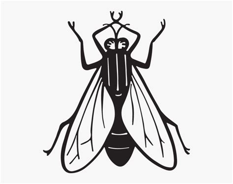 Fly Clipart Black And White