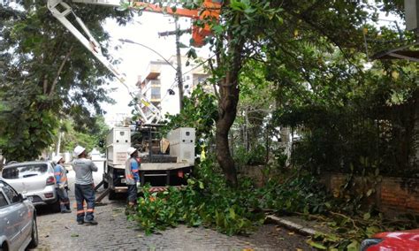 Poda De Árvores Prevenção E Cuidados Com Energia Elétrica Portal