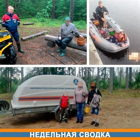 За неделю спасатели вывели из леса шестерых заблудившихся грибников