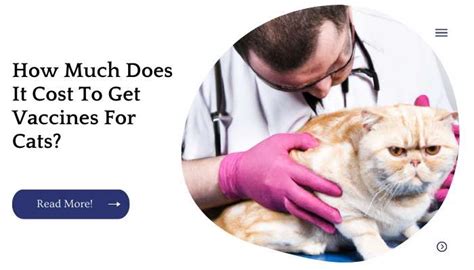How Much Does It Cost To Get Vaccines For Cats Unified Pets