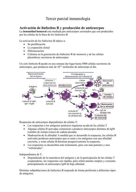 Tercer Parcial Inmunología Guadalupe Udocz