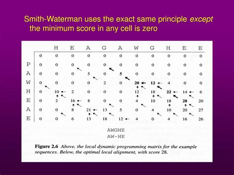 Introduction To Bioinformatics Ppt Download