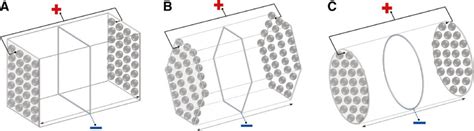 Schematics Of The Proposed Electro Tunable Fabryperot Interferometers Download Scientific