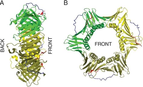 我们的公司 北京华大蛋白质研发中心有限公司以蛋白质为核心的生产、服务、开发和应用为主营业务的公司