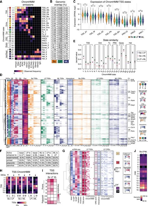 three dimensional genome architecture coordinates key regulators of