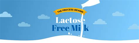 What Is Lactose Free Milk And How Is It Made Lactaid®