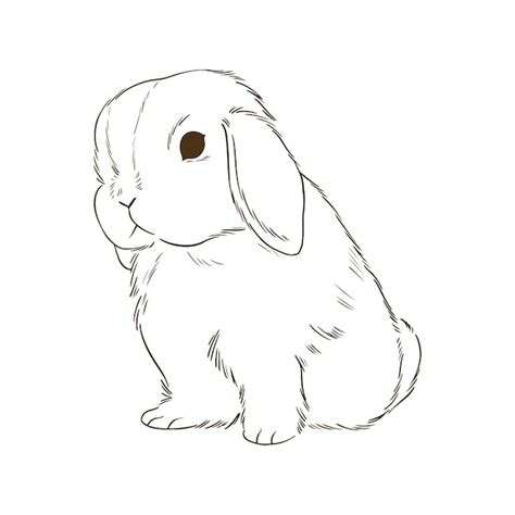 Krolik Wektory I Ilustracje Do Darmowego Pobrania Freepik
