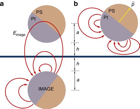 Schematics Of The Colloidal Swimmer Near A Substrate Showing The Field Download Scientific