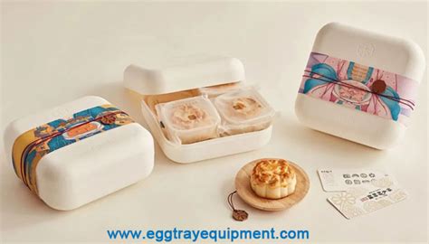 Molded Paper Pulp Packaging Eco Friendly And Practical In Modern Packaging
