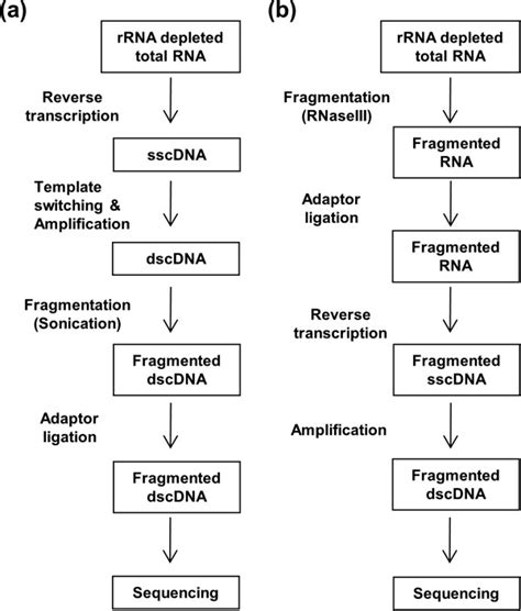 Simplified Construction Methods Of The Gene Specific Library And The