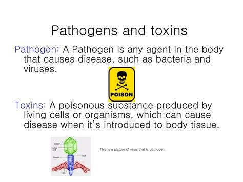 Pathogens And Toxins Ppt