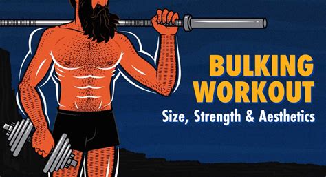 Bulking Workout Routine How To Maximize Muscle Growth