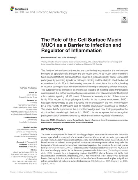 Pdf The Role Of The Cell Surface Mucin Muc1 As A Barrier To Infection