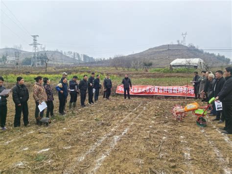 大方县马场镇：开展大豆玉米带状复合种植现场技术培训腾讯新闻