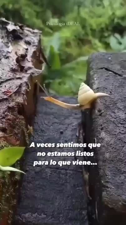 Marius I Vass Posted On Linkedin