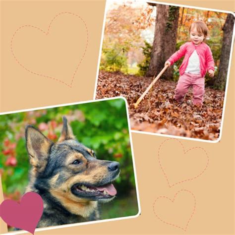 How To Use The Shape Tools Corel Discovery Center