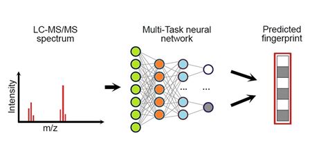 Molecules Free Full Text Multi Task Neural Networks And Molecular Fingerprints To Enhance