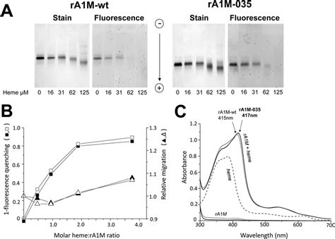 Heme Binding Analyzed By Migration Shiftfluorescence Quenching On