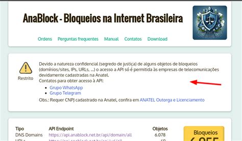Automatizando O Bloqueio De Sites No Brasil Pelo DNS Usando A API Da Anablock Net Br BIND RPZ