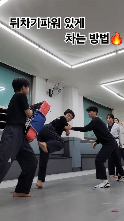 뒤차기파워싣는연습지도자코칭겨루기세미나 겨루기발차기 겨루기 태권도 태권도스텝 뒤차기 Youtube