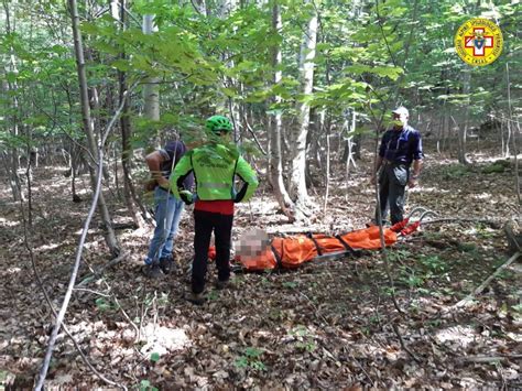Cercatrice Di Funghi Sinfortuna Nei Boschi In Località Bossietta A