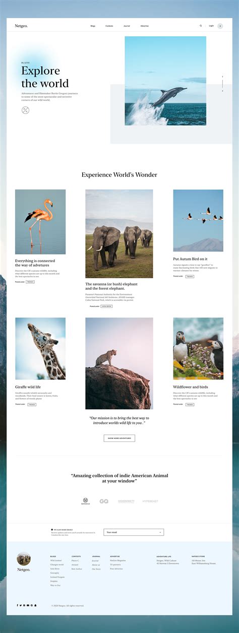 blog site user interface design on behance