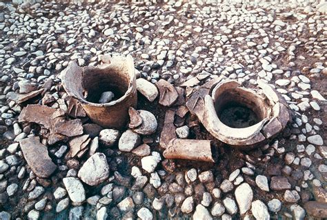 百舌鳥古市古墳群 出土品検索アプリ